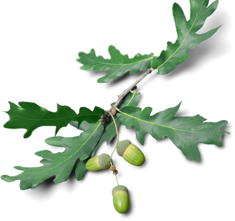 DaySpring Christian Church | Bible Based Non-denominational Christian ...