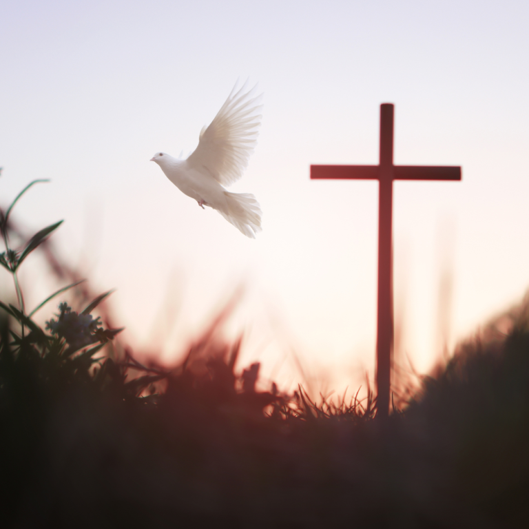 Loving Neighbors in Confusion | Church in Fort Collins, CO